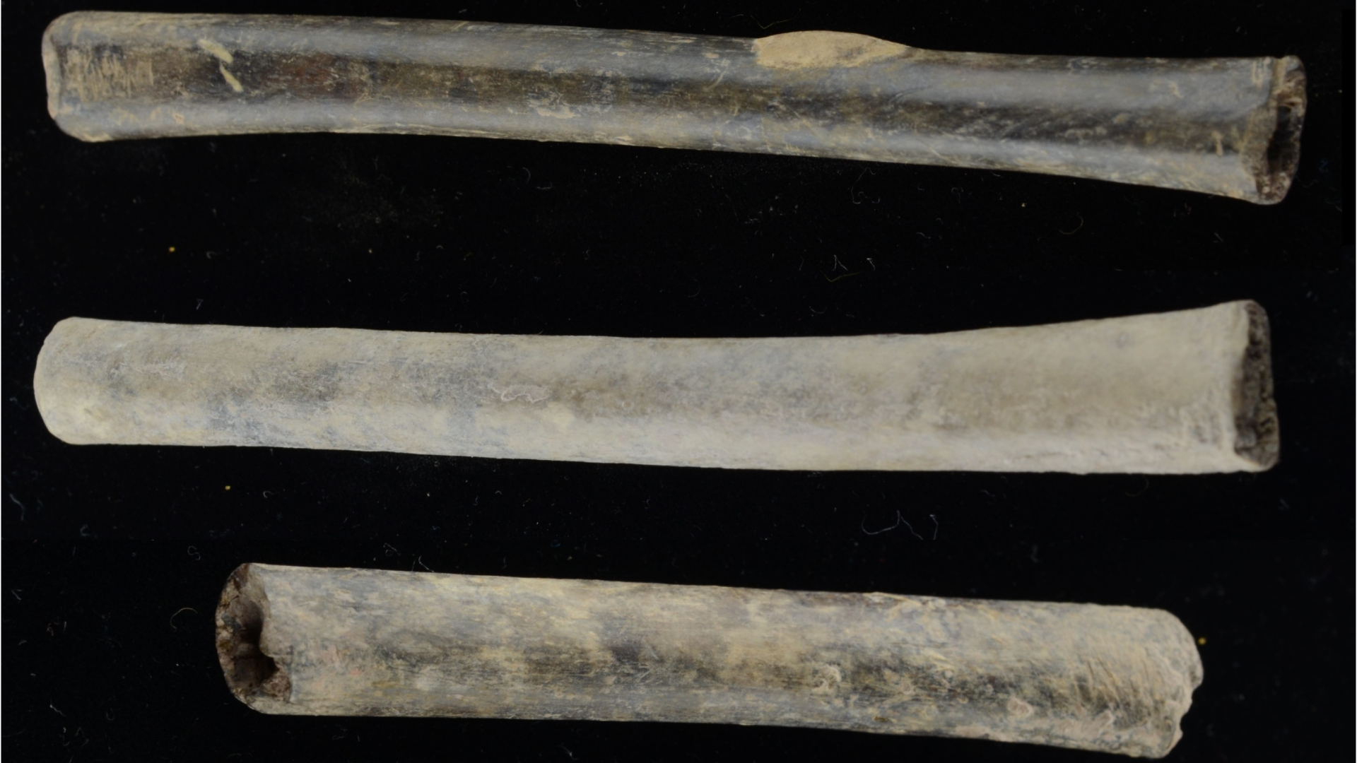 Earliest Known Psychedelic Drug Pipes Discovered In Andes