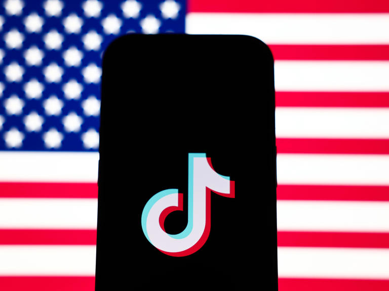 TikTok reshuffled its US content council, adding conservative and pro ...