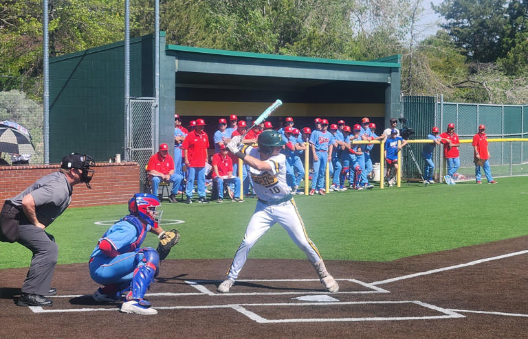 Baseball All-Region: See who made Player, Pitcher of the Year and more ...