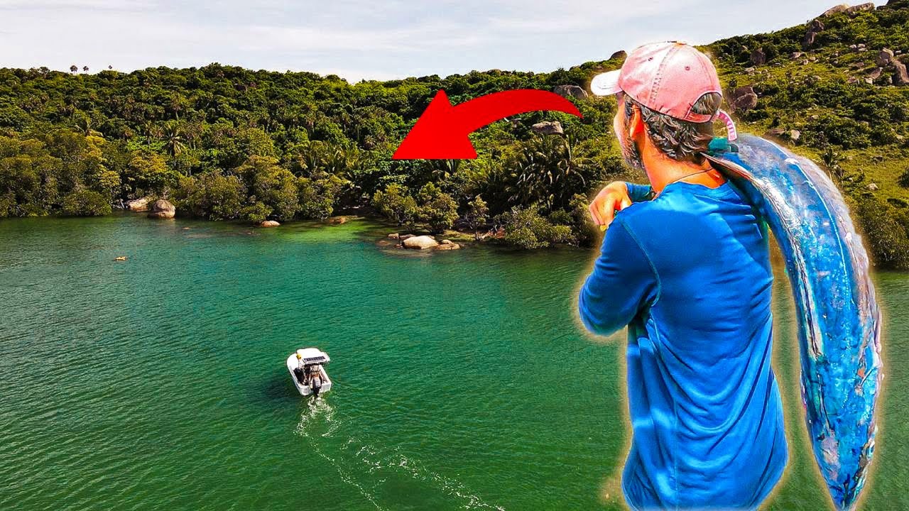 Back 2 Basics Adventures - MSN