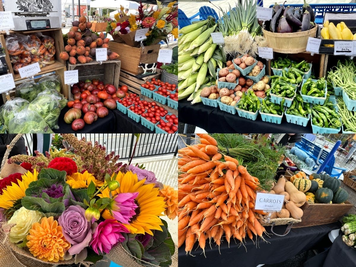 Berwyn Farmers Market Is Back And Bigger Than Ever