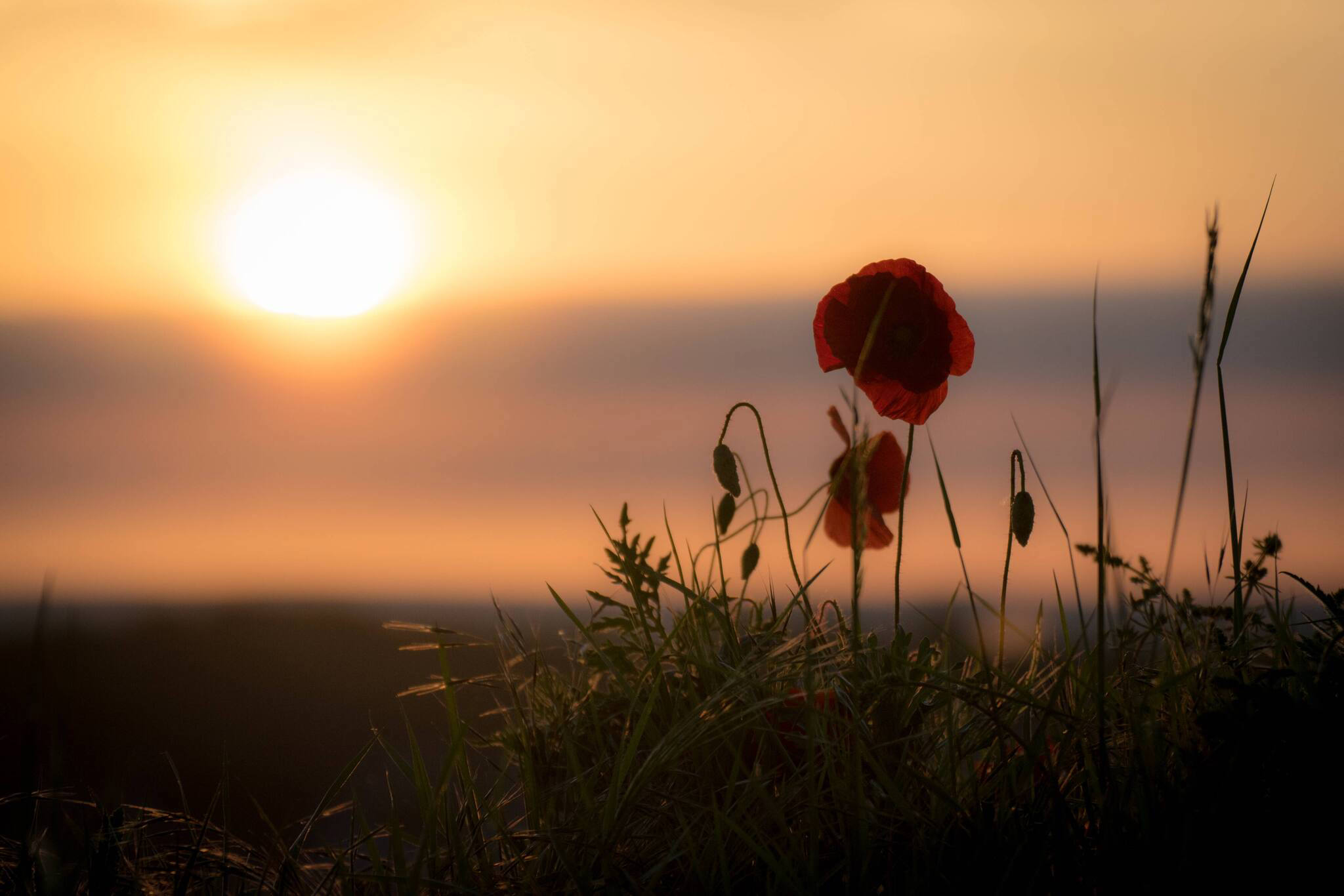 Sommeranfang 2025: Wann beginnt der Sommer und was bedeutet das eigentlich? Sommeranfang 2025: Wann beginnt der Sommer und was bedeutet das eigentlich?