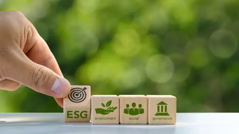 Singapore companies boost ESG assurance with audit firms: report