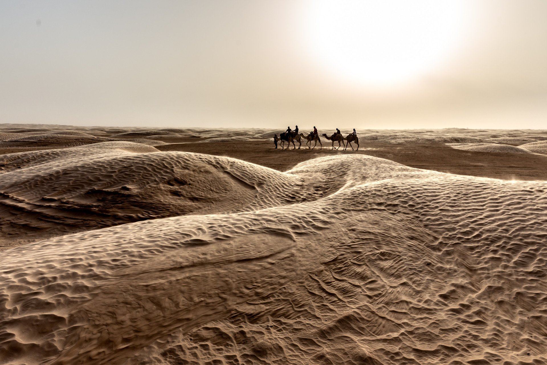 Fascinating facts about the Sahara Desert