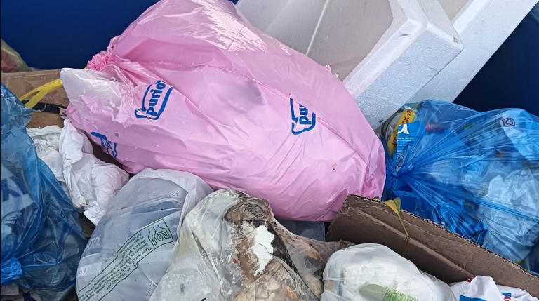 Εύβοια: Πέταξαν ψάρια και φελιζόλ σε κάδους ανακύκλωσης – «Δεν μας ...