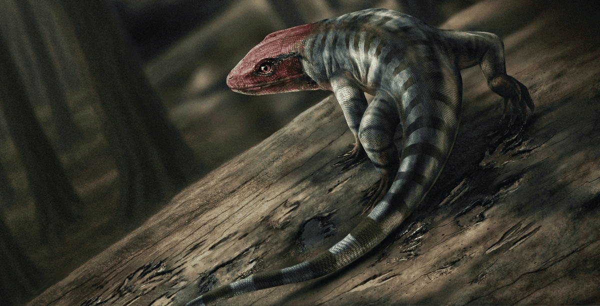 356-Million-Year-Old Fossil Trackway With Claw Marks Is Probably Oldest ...