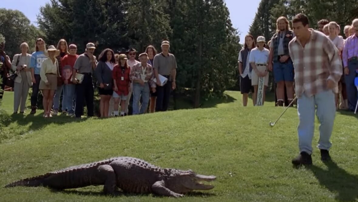 Happy Gilmore Alligator Morris Dead: Where Does He Go From Here?