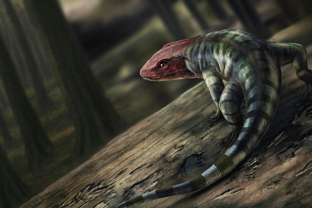How ancient reptile footprints are rewriting the history of when ...