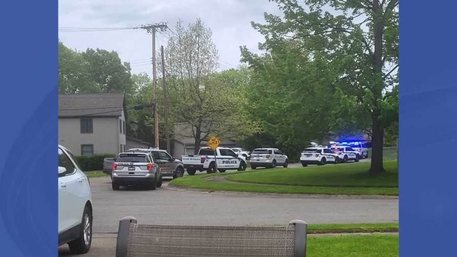 Attempted Walmart theft sparks large police chase in multiple jurisdictions