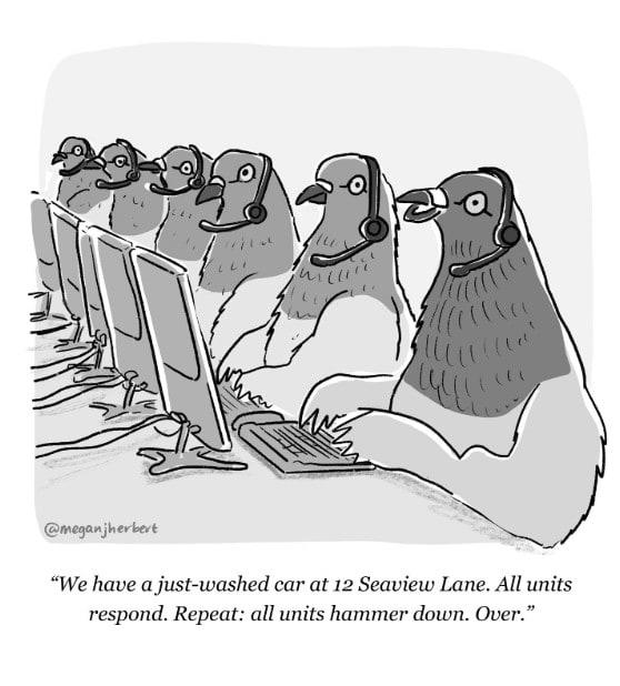 25 Funny Single Panel Comics From Talented Cartoonist Megan Herbert