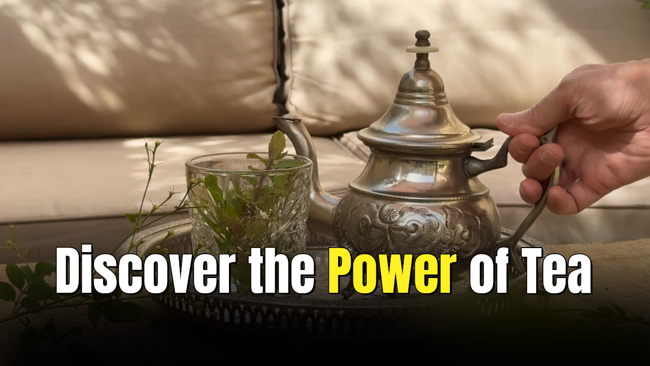 6 Teas to Boost Memory and Focus