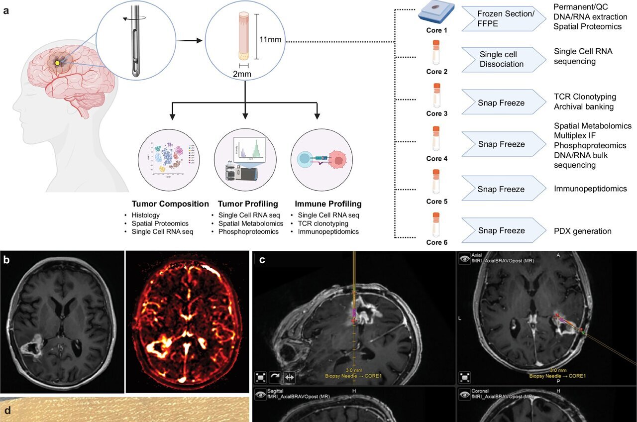 Combining laboratory techniques yields wealth of information about ...
