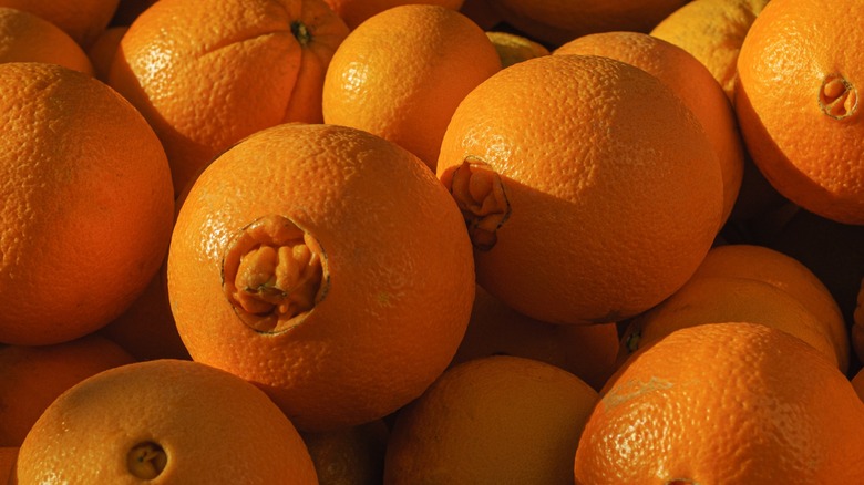The Most Common Types Of Oranges You'll Find Growing In Florida