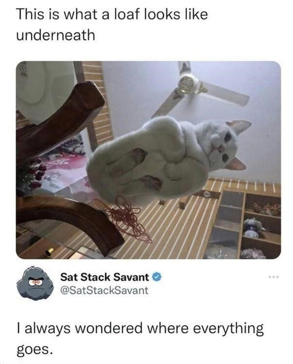 30 Wholesome Memes And Pictures For An Afternoon Mood Boost (May 14, 2025)