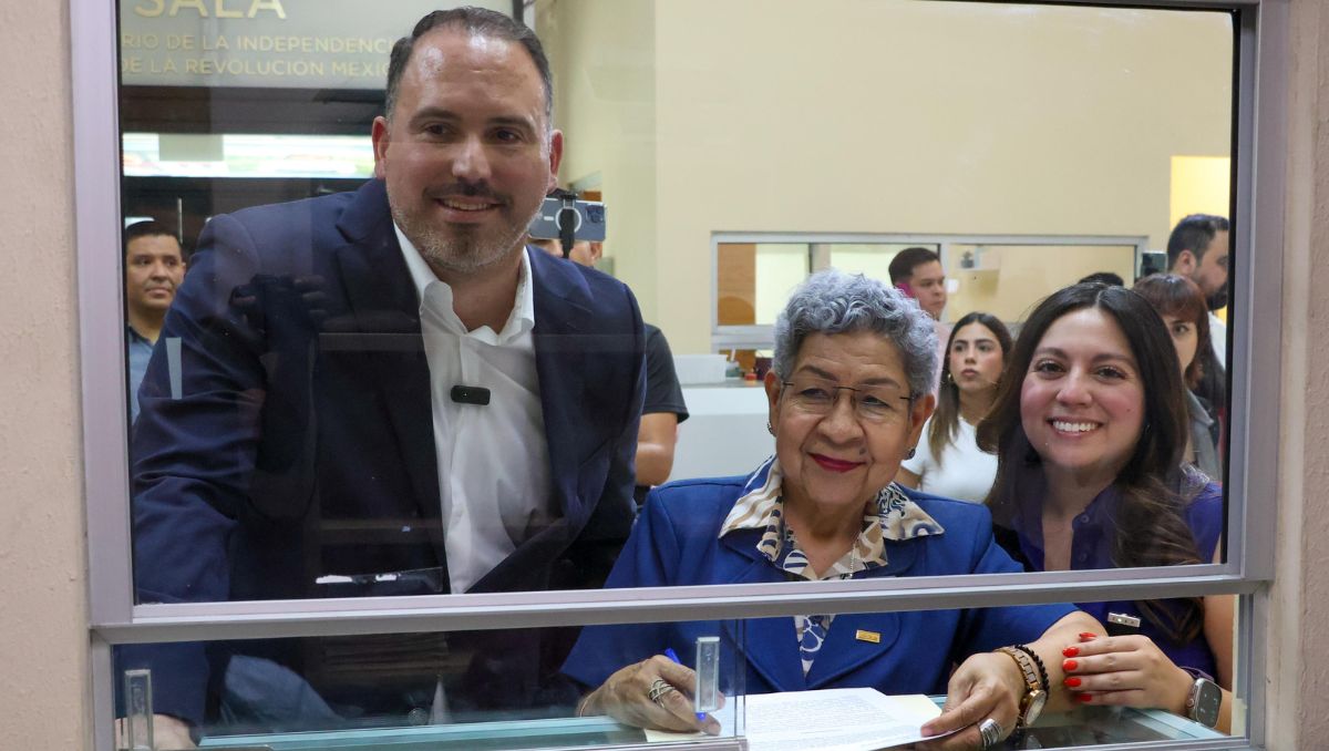 Piden promover consulta pública por viaducto elevado Constitución ...