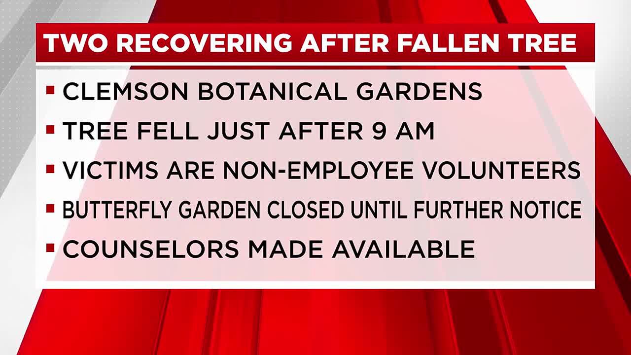 Tree falls, pins 2 at botanical garden in Clemson