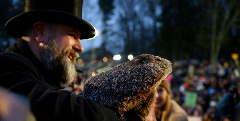 Experts Say Groundhogs Are Actually TERRIBLE at Predicting Weather