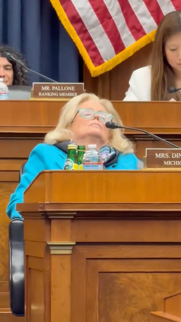 Reps. Blake Moore, Debbie Dingell, Jan Schakowsky doze off during ...
