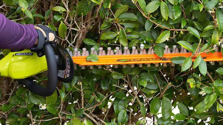 Is The 22-Inch Ryobi Cordless Hedge Trimmer Any Good? (According To ...