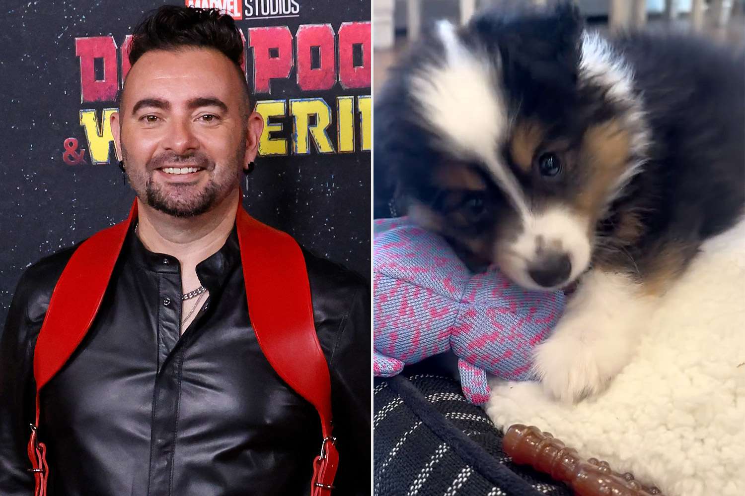 *NSYNC's Chris Kirkpatrick Names New Puppy Slim Shady 23 Years After ...