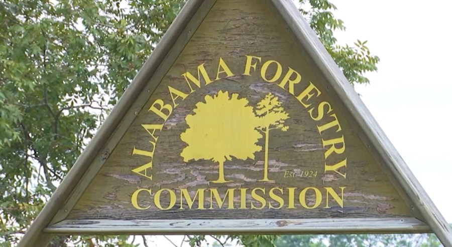 6 Alabama counties receive rural logging efficiency grants