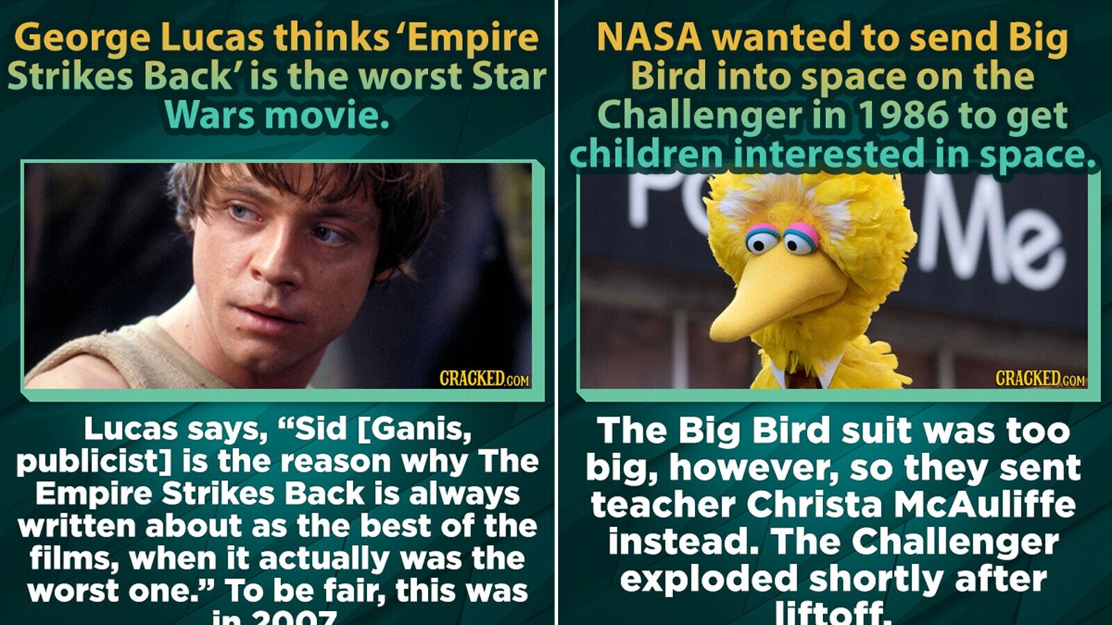 14 Interesting Facts To Trot Out At Your Last Meeting Today