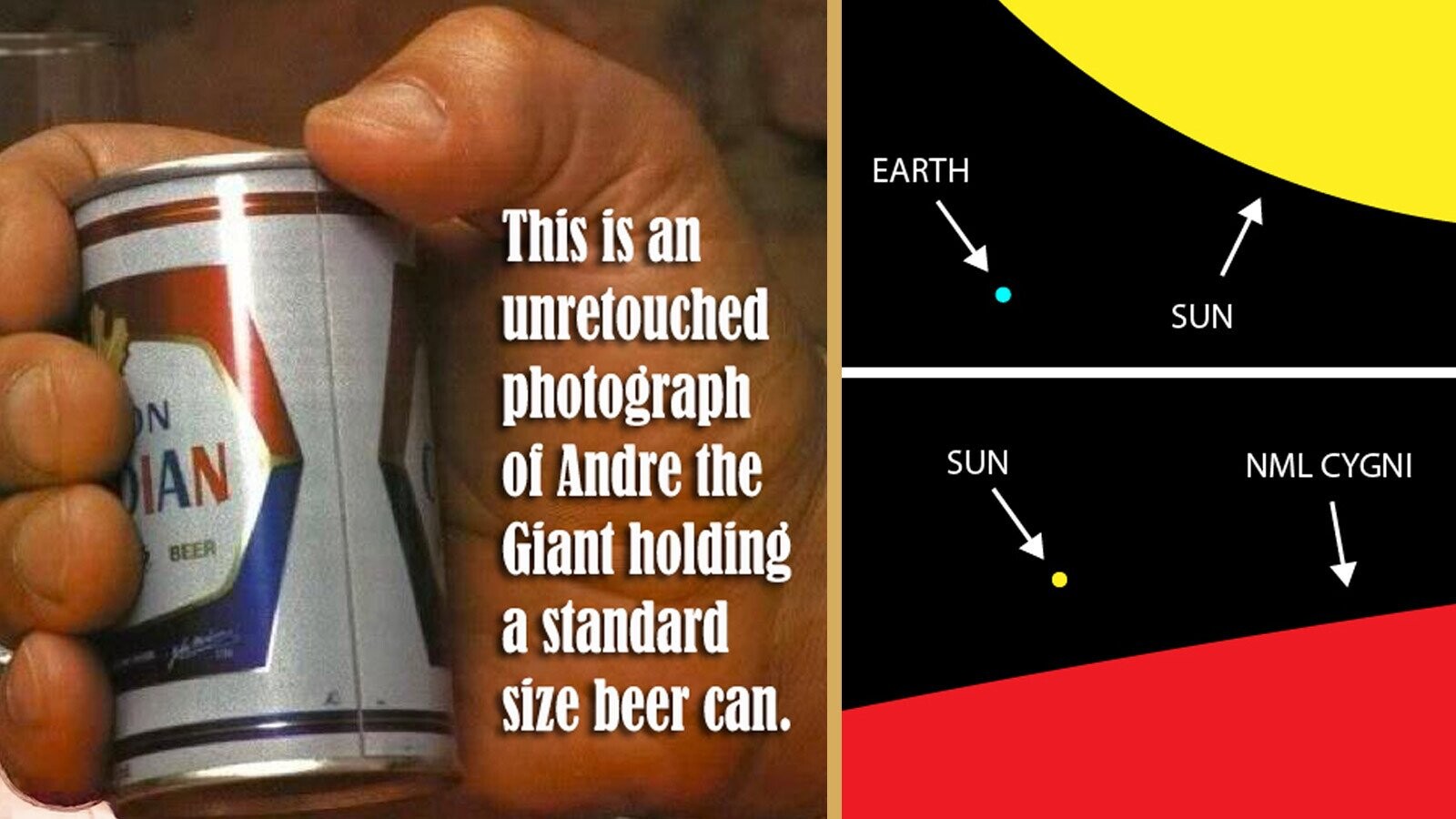 36 Real Size Comparisons That Will Make Your Head Explode