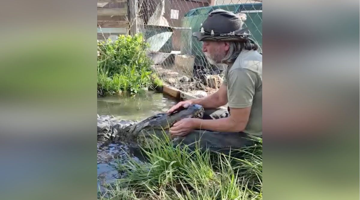 Morris, famous Hollywood alligator, dies at more than 80 years old