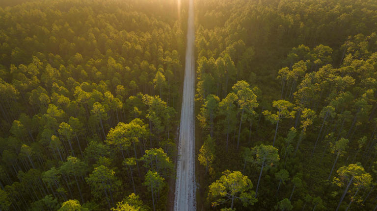 Nestled In Florida's Nature Coast Is A Quiet Town With A Historic ...