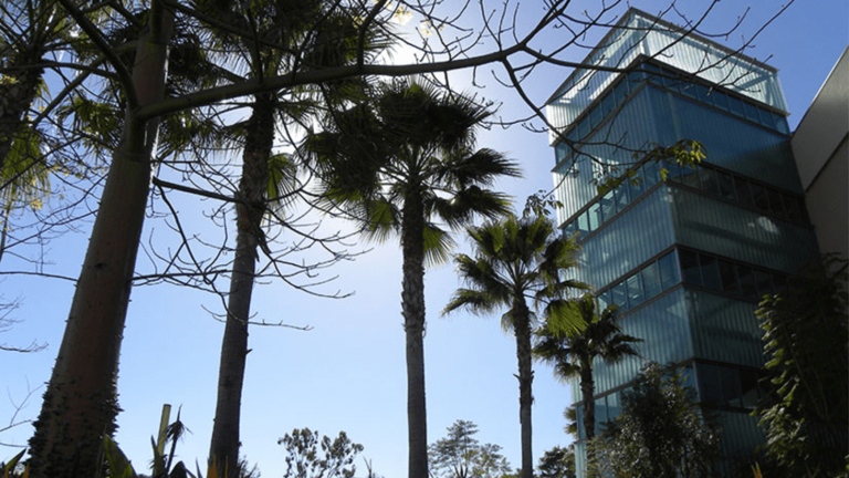 Santa Monica College Student Deported By Ice School Says