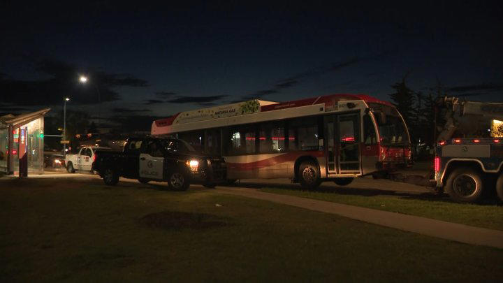 Calgary bus driver hospitalized with life-threatening injuries after ...