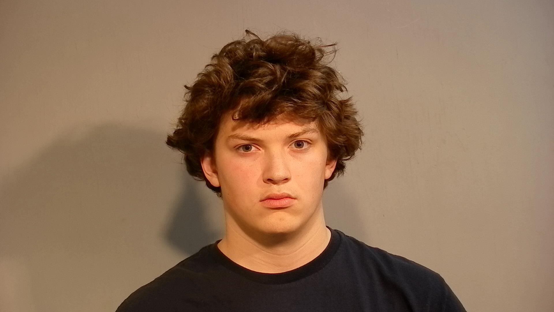 Negaunee teen charged with 8 felonies for sexual assault allegations