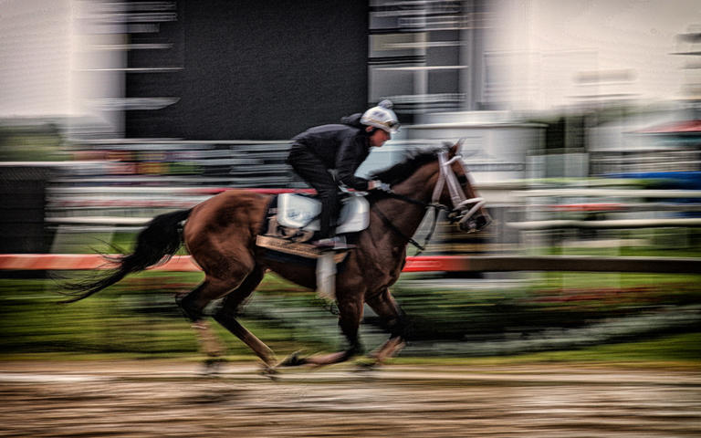 VIDEO: Spend The Morning With Preakness Stakes Contender Journalism At ...