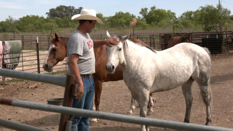 Who is running for Hanover Borough Council? Here's what to know about ...