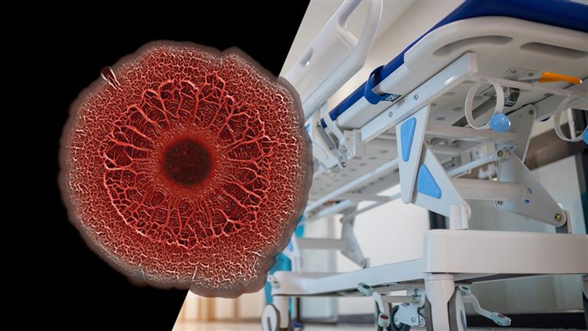 For The First Time, Common Hospital “Superbug” Found To Break Down ...