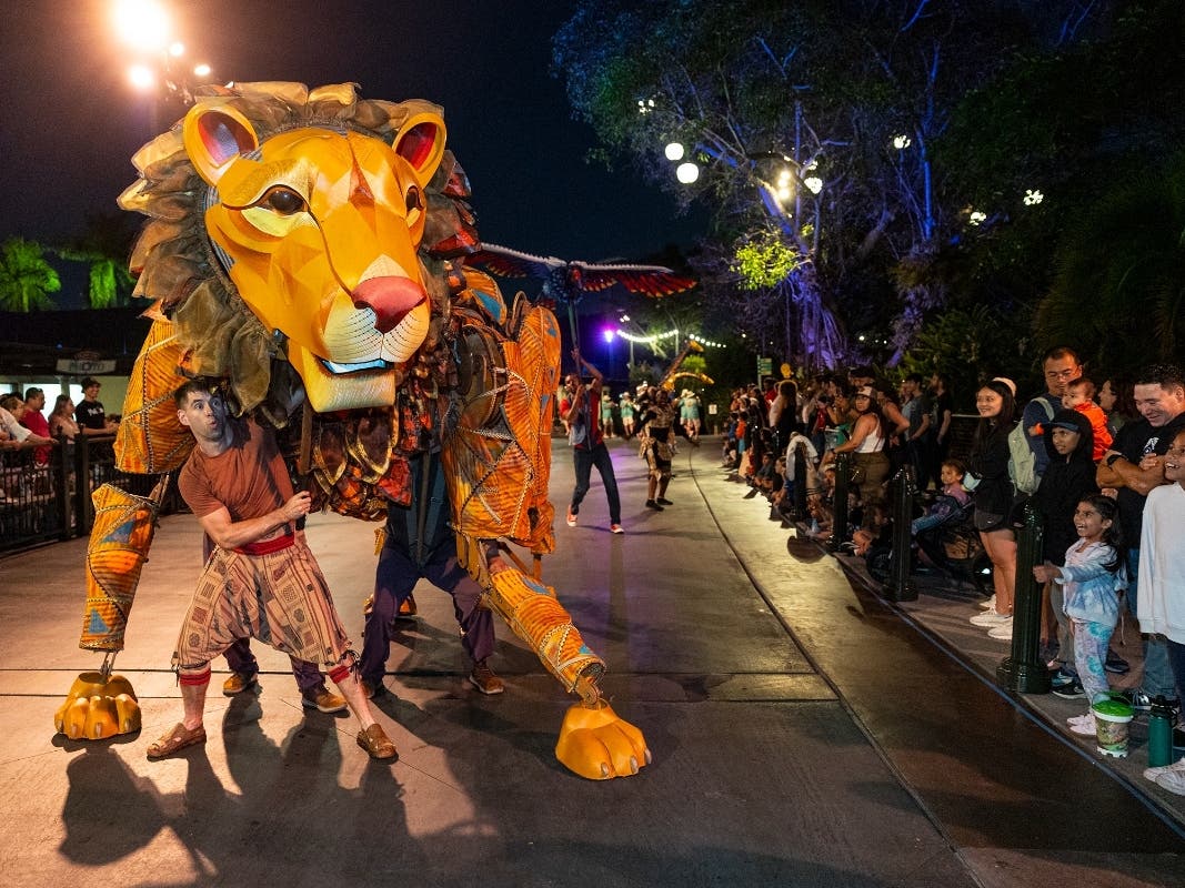 'Nighttime Zoo' Returns To San Diego Zoo