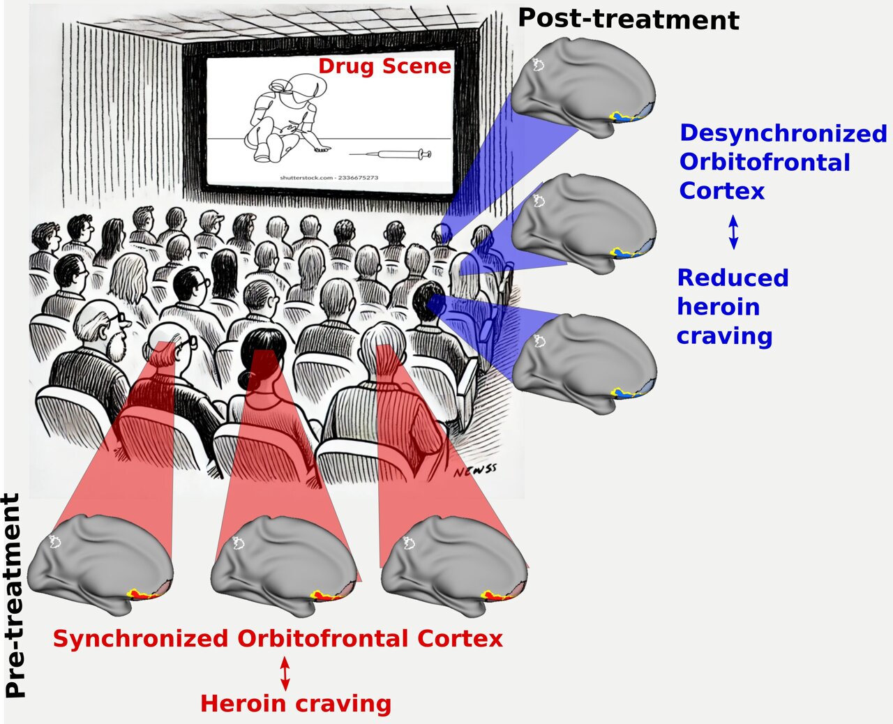 Famous film helps reveal brain region biased towards drug cues in ...