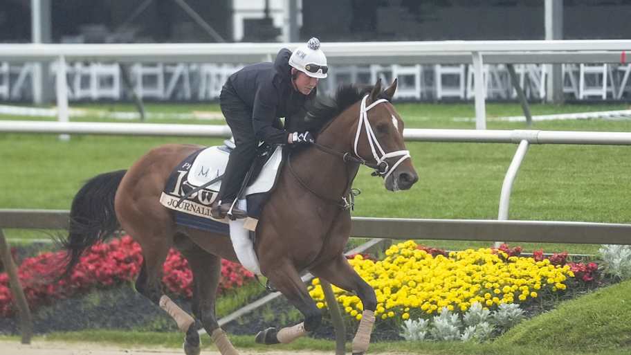 Every Horse in the 2025 Preakness Field, Jockeys & More