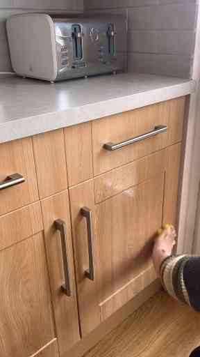 Let’s Panic Clean—The Chaos You Have to See to Believe!