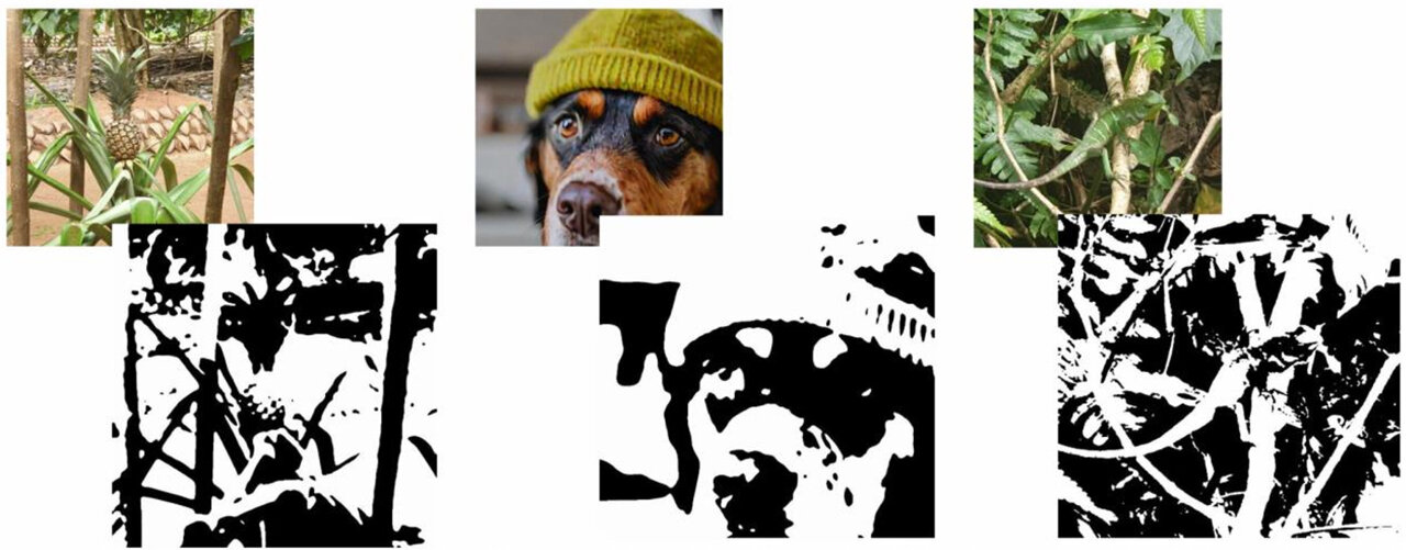 Brain scans reveal what happens in the mind when insight strikes