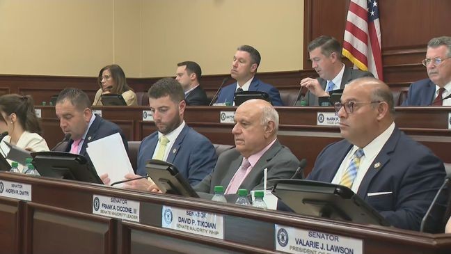 Rhode Island Senate hears testimony on gun bills