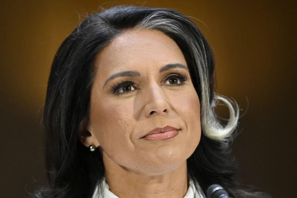 Gabbard purges ‘Biden holdovers’ on National Intelligence Council