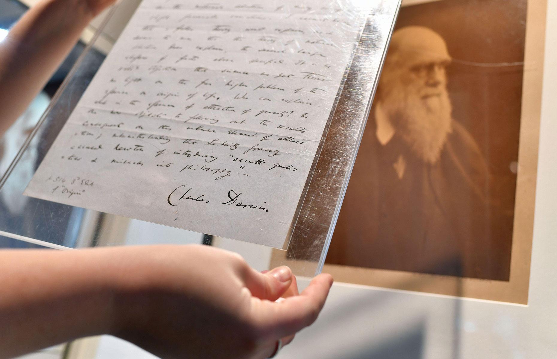 De Darwin a Michael Jordan: Las 20 firmas o autógrafos MÁS caros de la ...