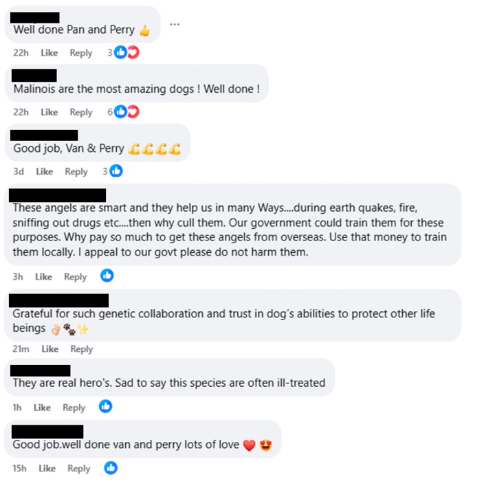 Dogs Van & Perry Praised For Helping To Stop Animal Smuggling At Airport
