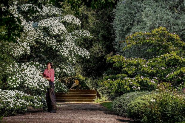 North Yorkshire's Newby Hall to make RHS Chelsea Flower Show debut