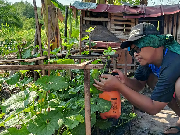 Ini Pentingnya Asam Organik dalam Pertanian, Petani Pemula Wajib Tahu!!