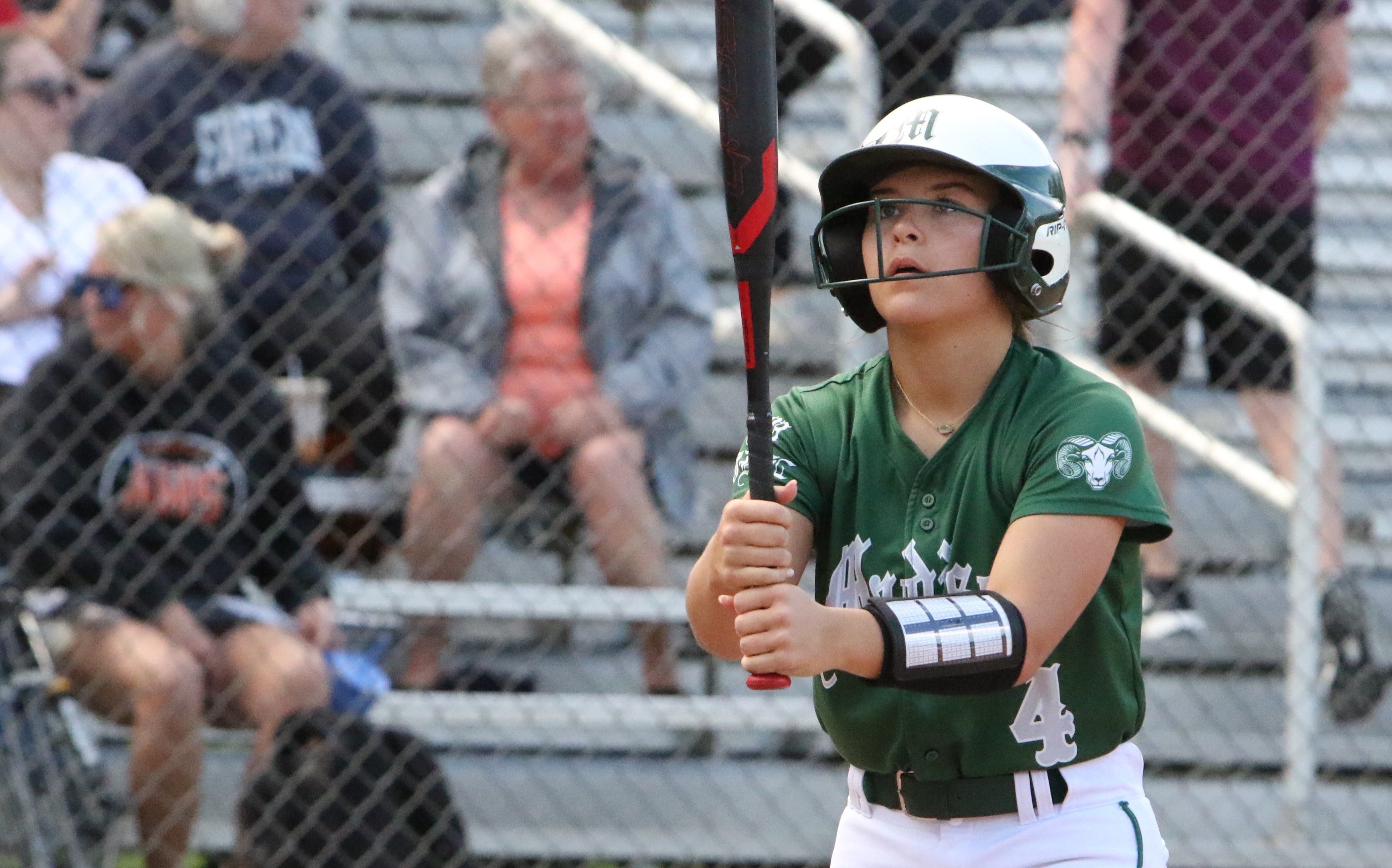 Madison claims 2025 Ohio Cardinal Conference Softball Championship ...