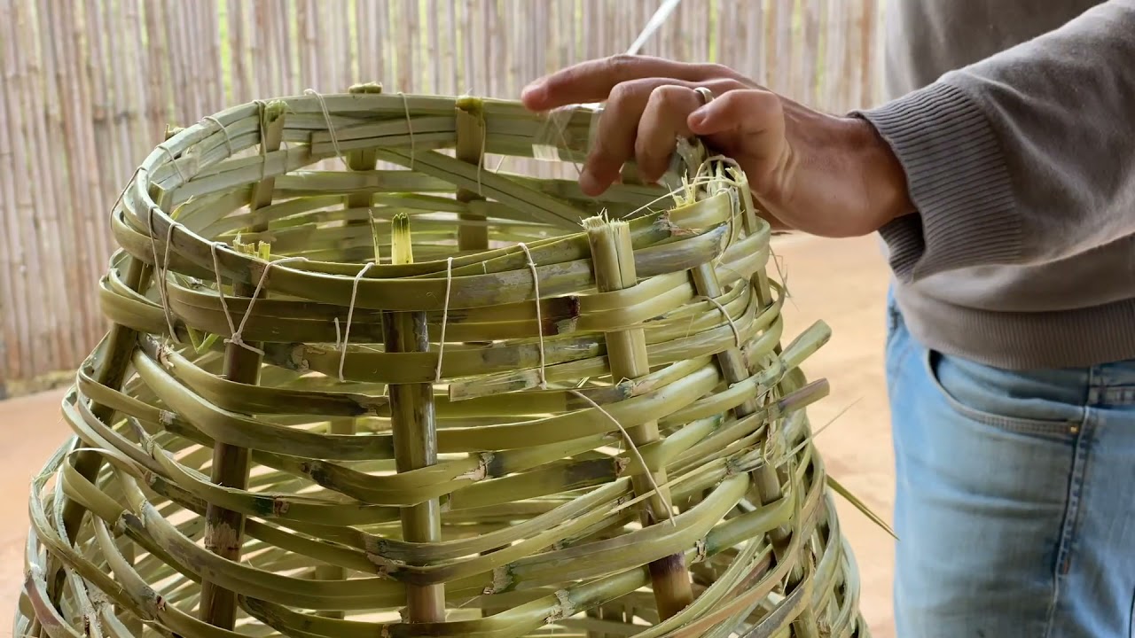 How to Make a Fish Trap with Bamboo – Simple, Effective, and Fun!