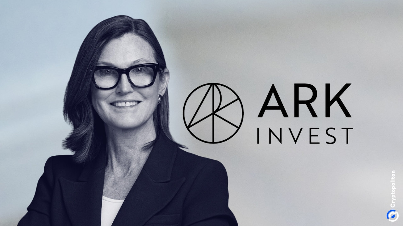 ARK’s CEO praises Coinbase and Tesla for leading blockchain and equity ...