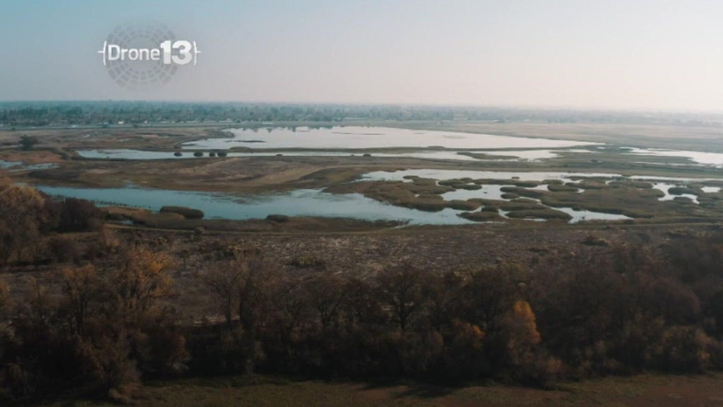 Newsom announces plans to fast-track California's delta tunnel project